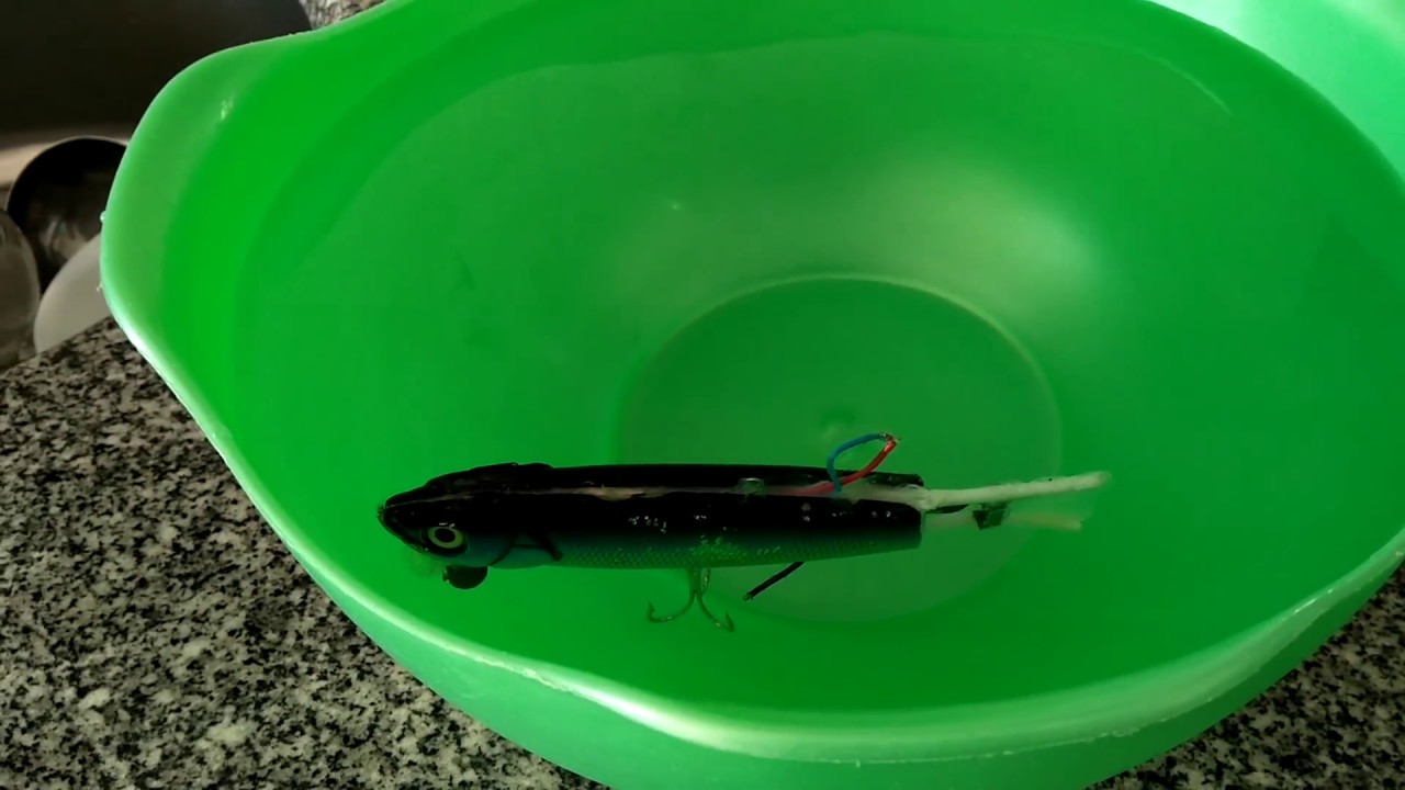 Homemade robot fish swimming test - YouTube