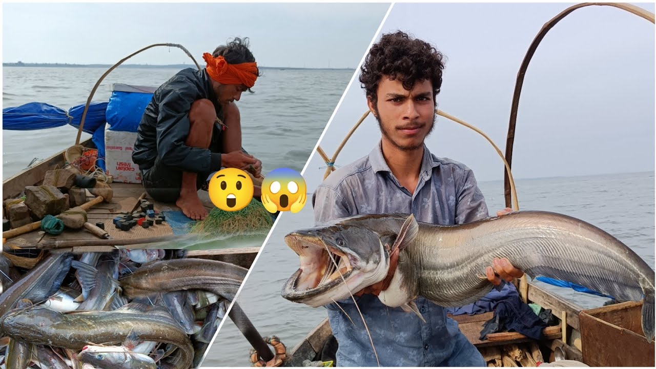 fishing videos 2023। বিশাল বড় বড় বোয়াল মাছ আর পিটার মাছ আজকে ধরেছি 😱 ...