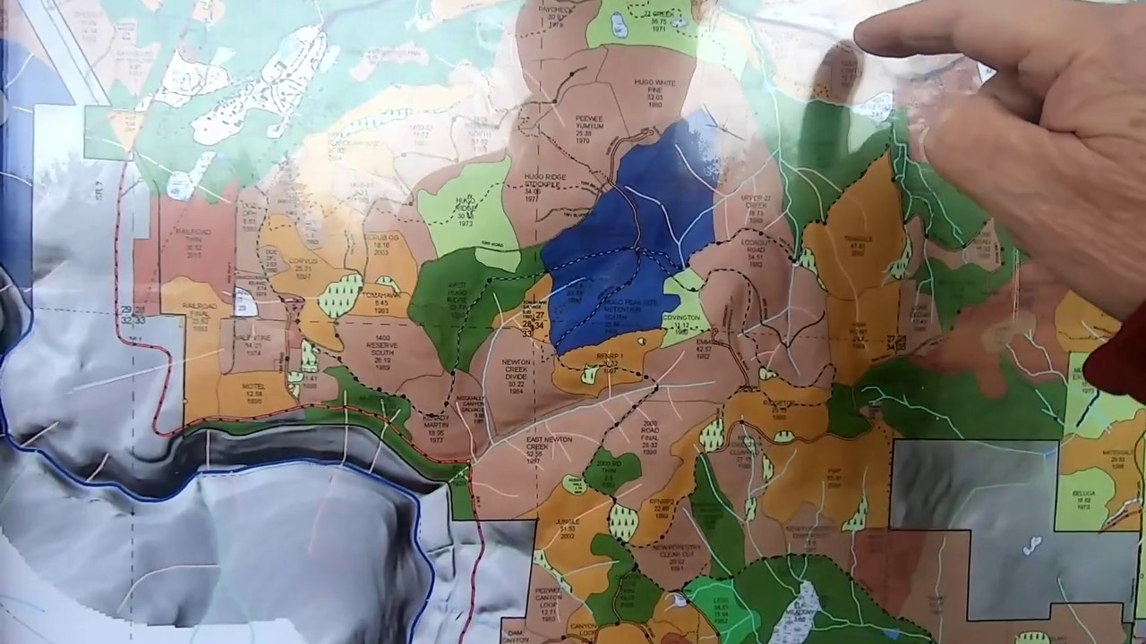 Pack Forest 1000 Road Loop - YouTube