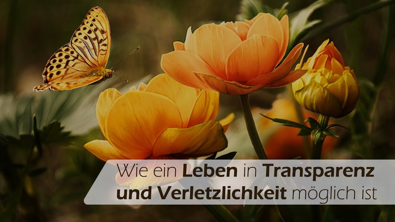 Wie ein Leben in Transparenz und Verletzlichkeit möglich ist - YouTube