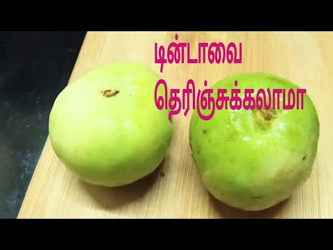 டின்டா மசாலா | Tinda masala|Tinda masala in Tamil | New veg side dishes ...