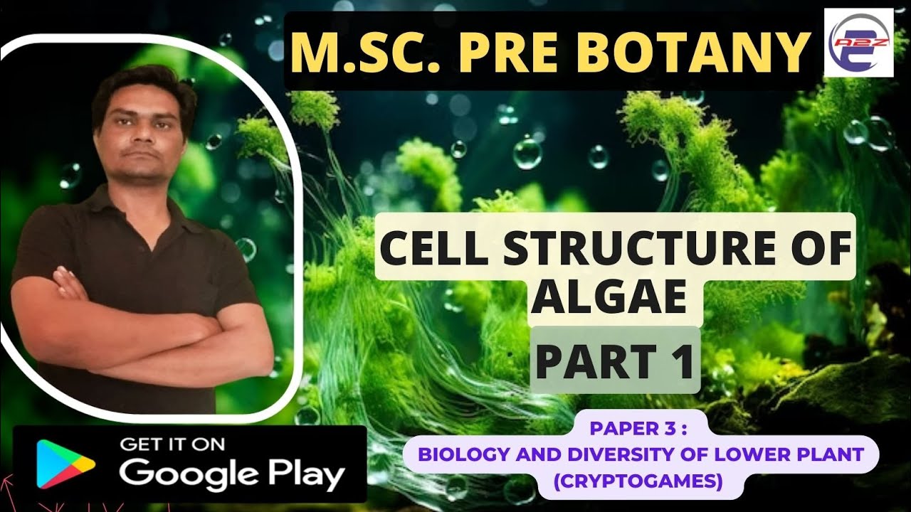 Cell Structure of Algae Part 1 - YouTube