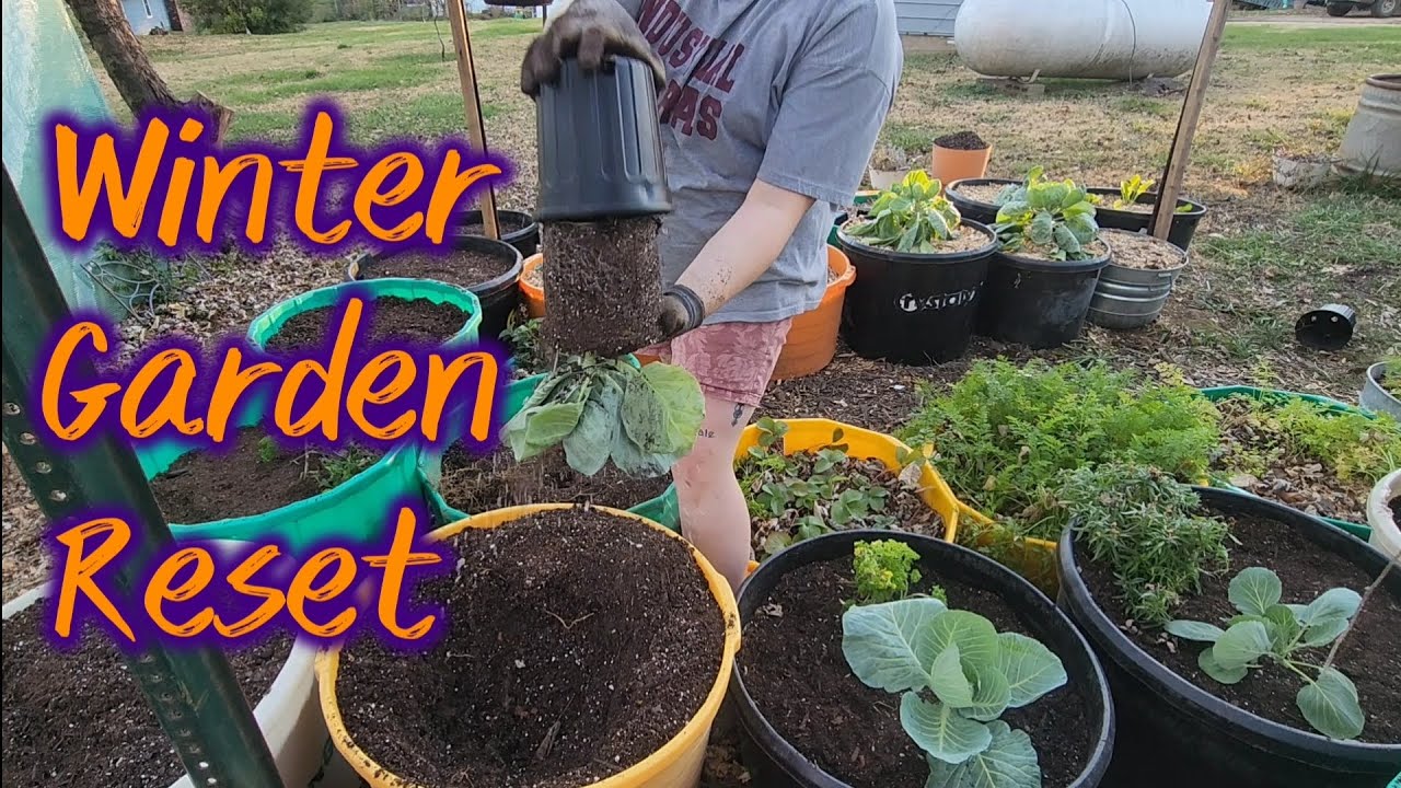 Planting Out The Fall/Winter Garden! - YouTube