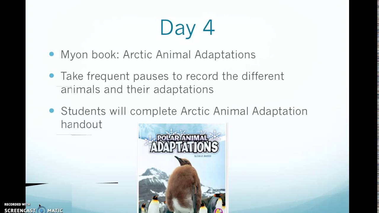 Final Project Animal Adaptations - YouTube