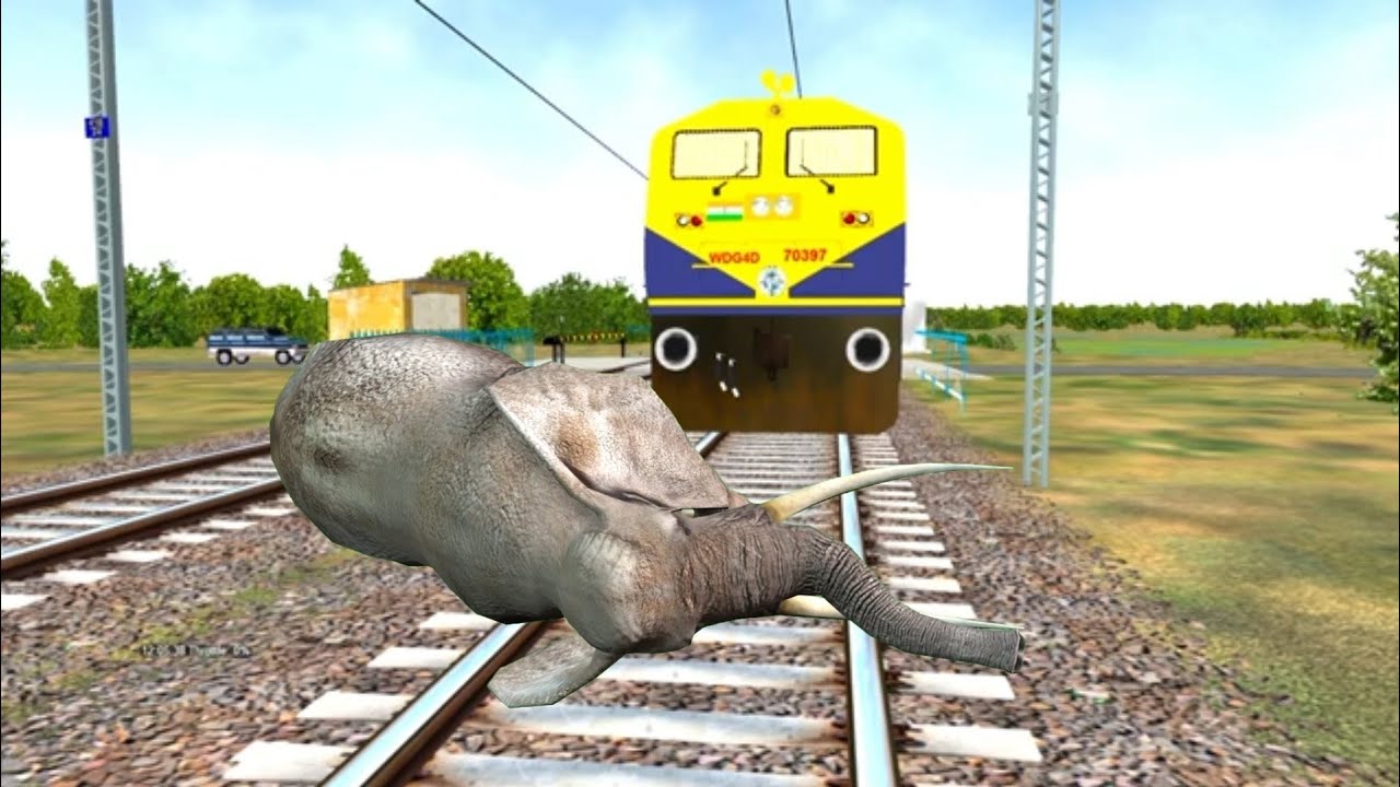 Elephant vs Train | Stops the train | Elephant 🐘 vs Train 🚆 - YouTube