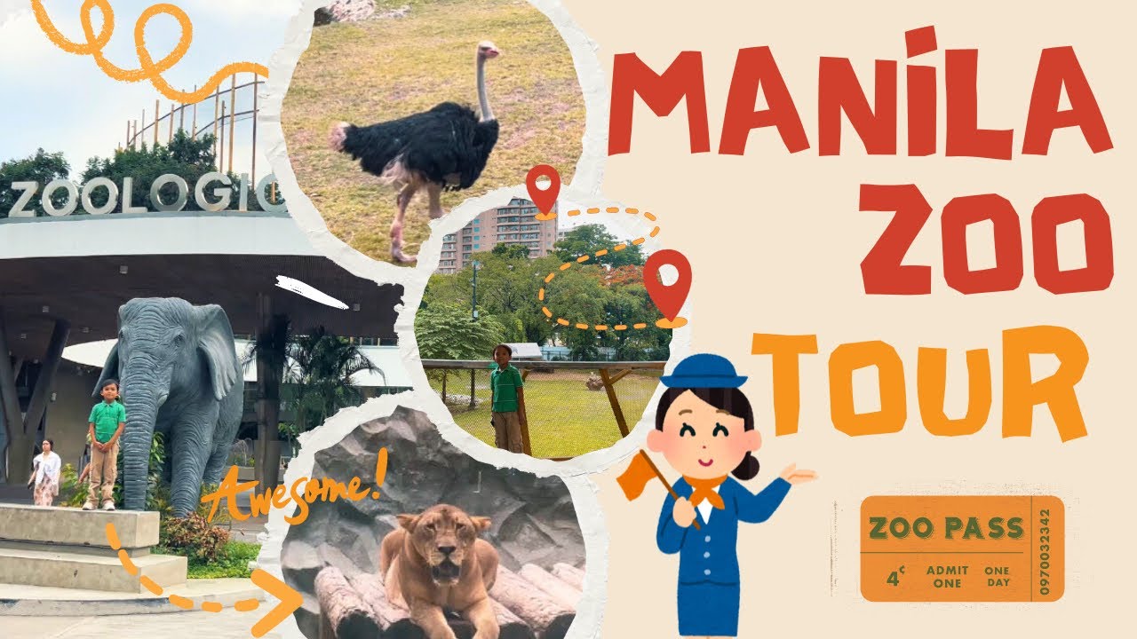 Exploring Manila Zoo: A Wild Day Tour! | Manila, Philippines - YouTube