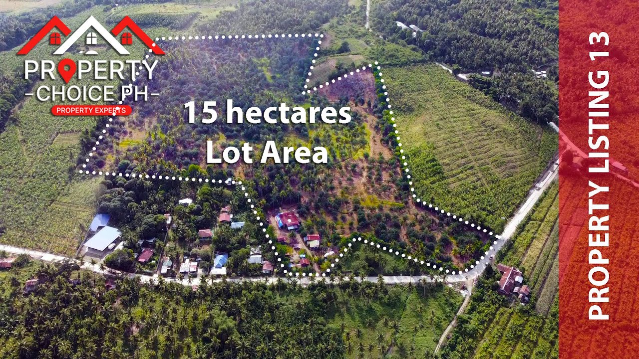 PANABO POMELO FARM | DAVAO DEL NORTE - YouTube