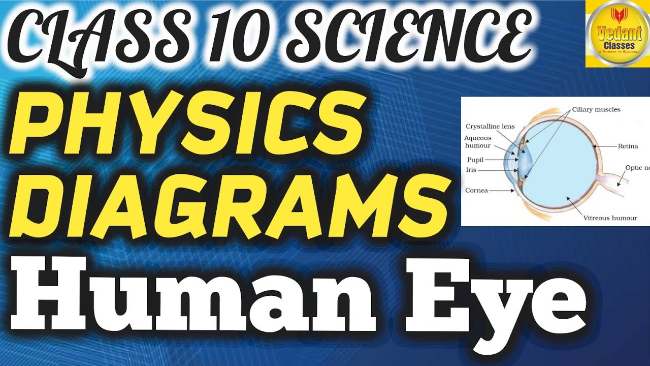 Class 10 Science Physics Diagrams | Chapter 11 Human Eye and Colourful ...