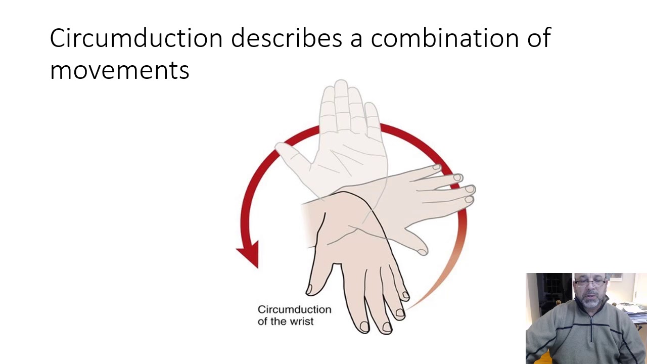 Distal Upper Extremity part one the wrist - YouTube