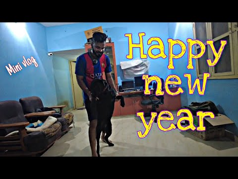 Happy new year | Celebration with Pluto 🐕😃
