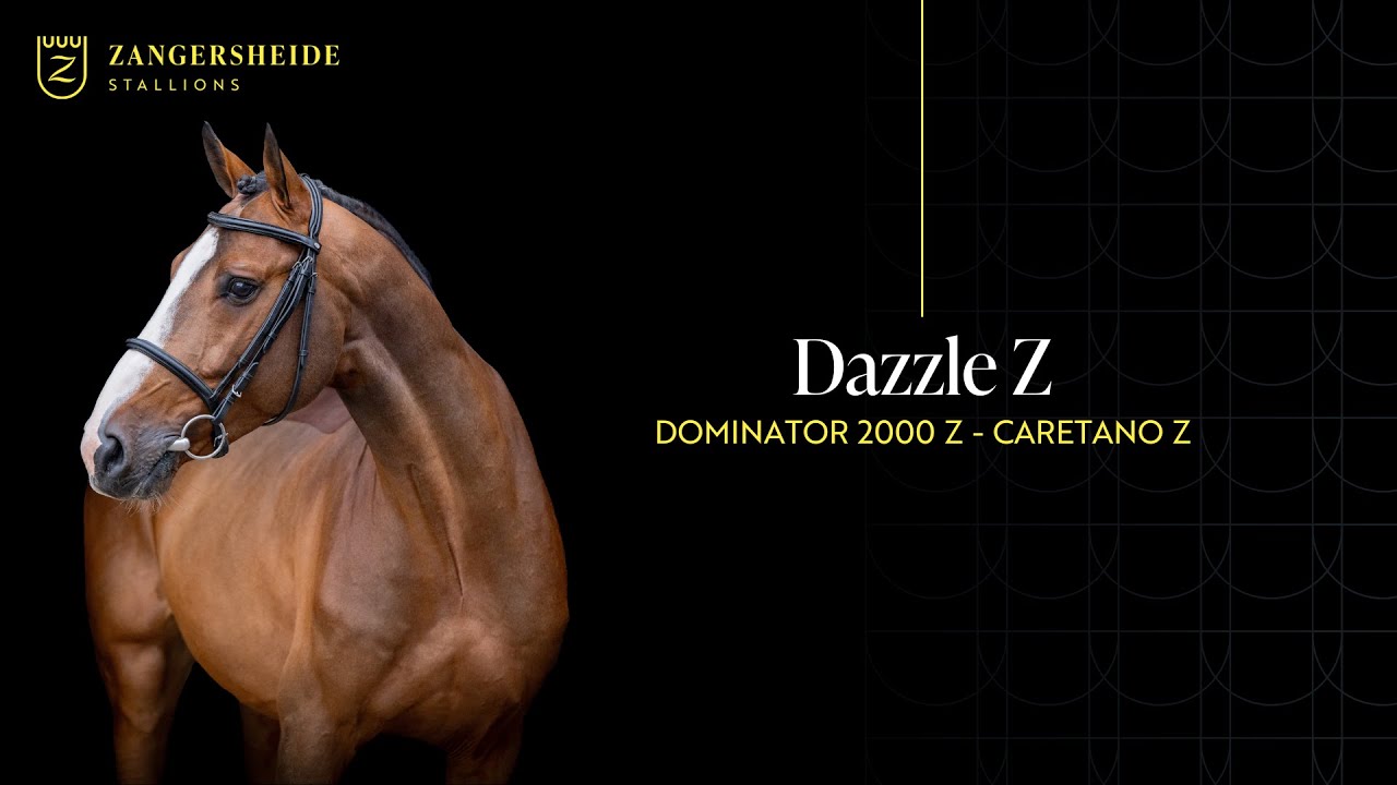 Dazzle Z - Stallion Presentation 2025 ENG - YouTube