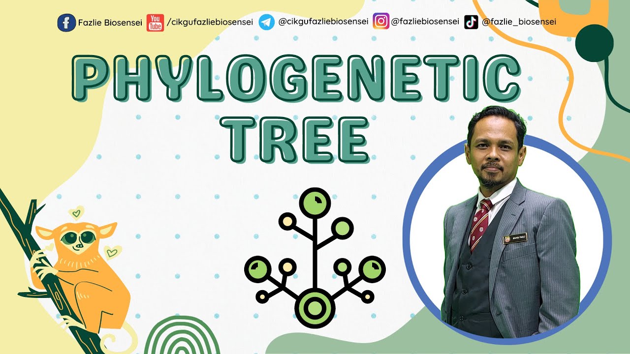 BIOLOGY KSSM FORM 5 : PHYLOGENETIC TREE - YouTube