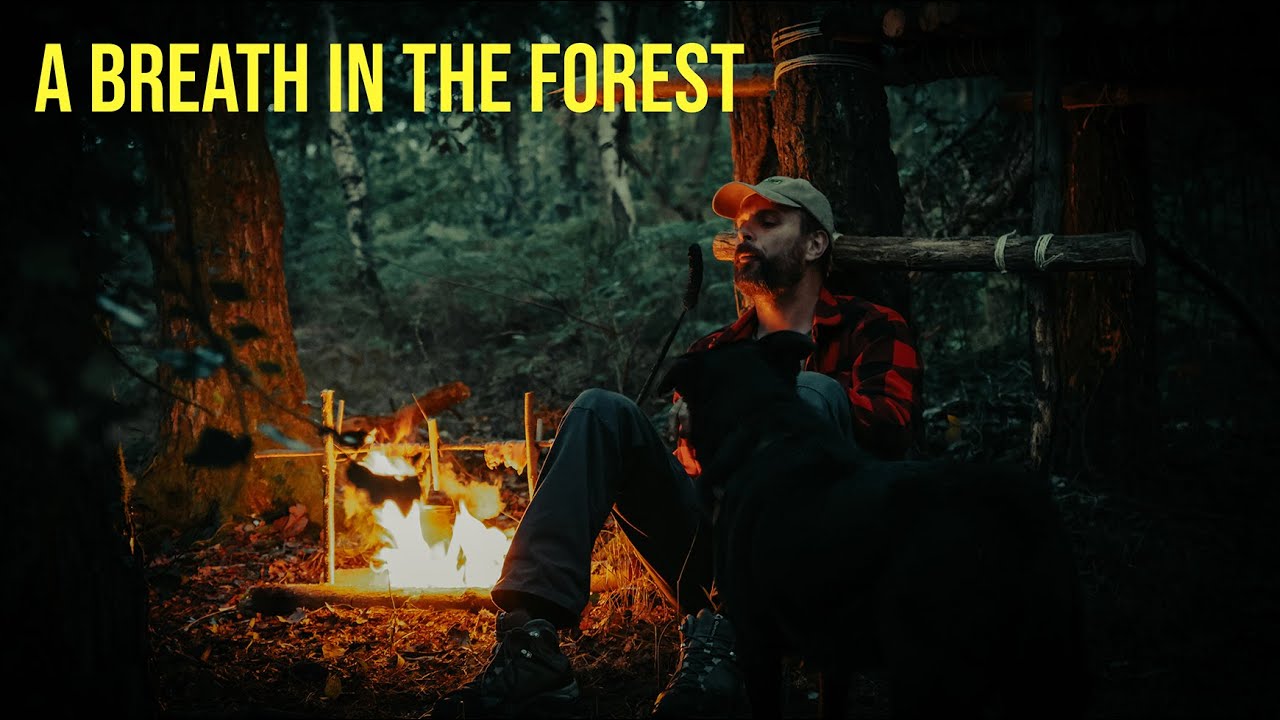A breath in the forest. Bushcraft, refugio elevado, cocina campera ...