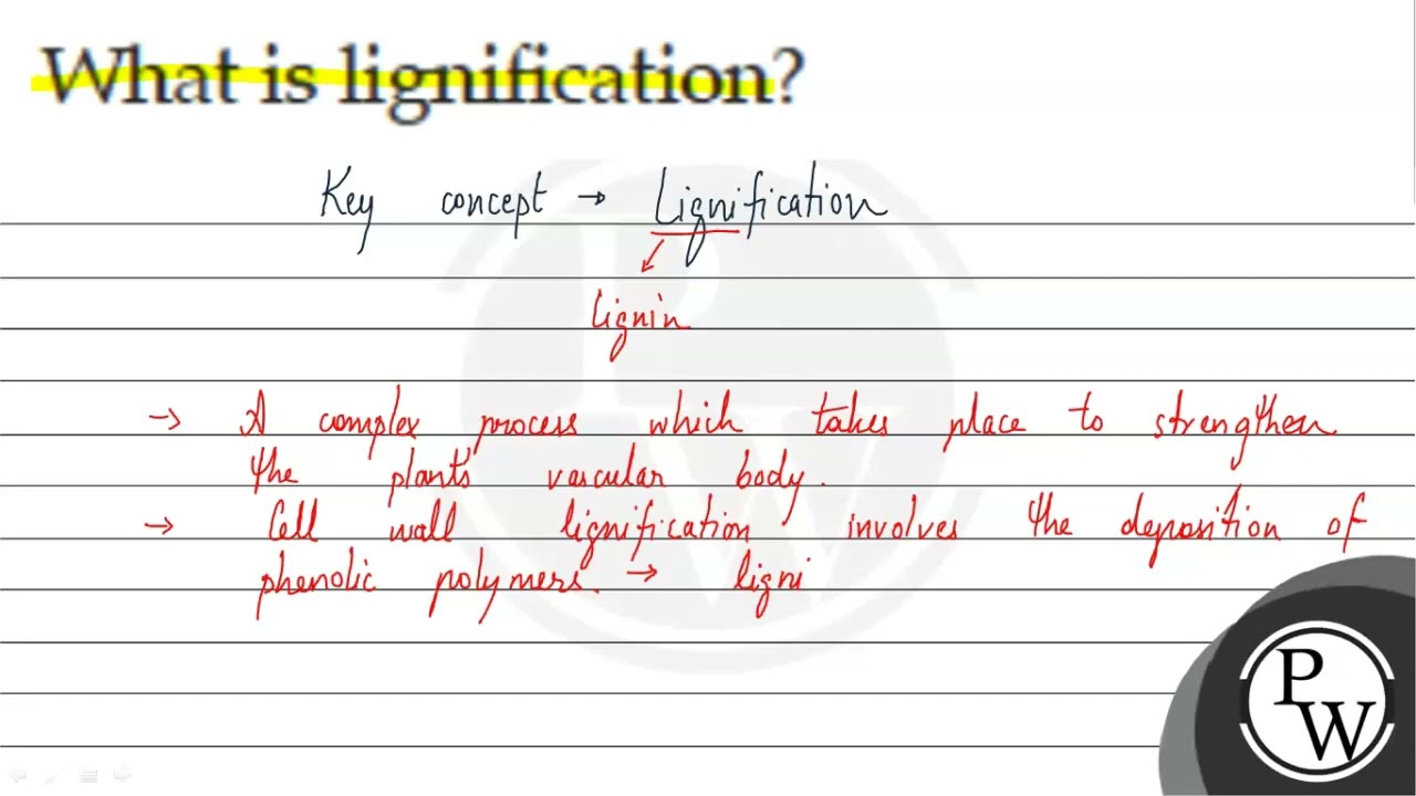What is lignification? - YouTube