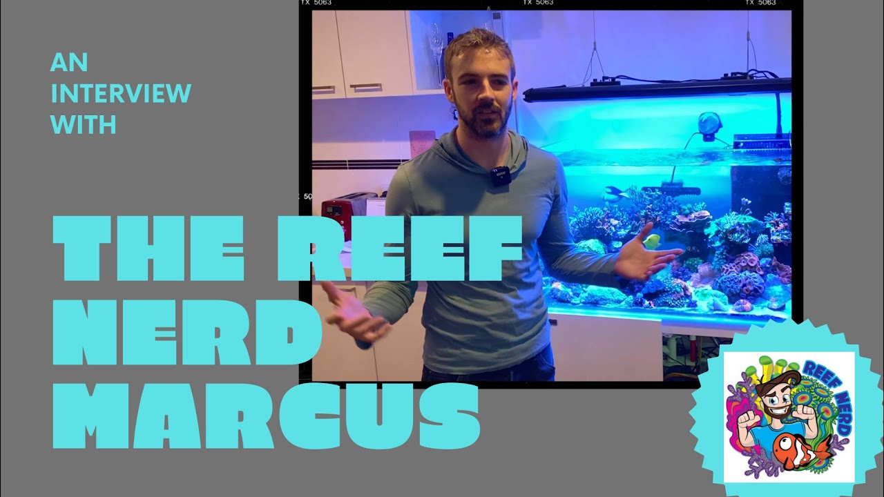 Interview with Marcus, the Reef Nerd - YouTube