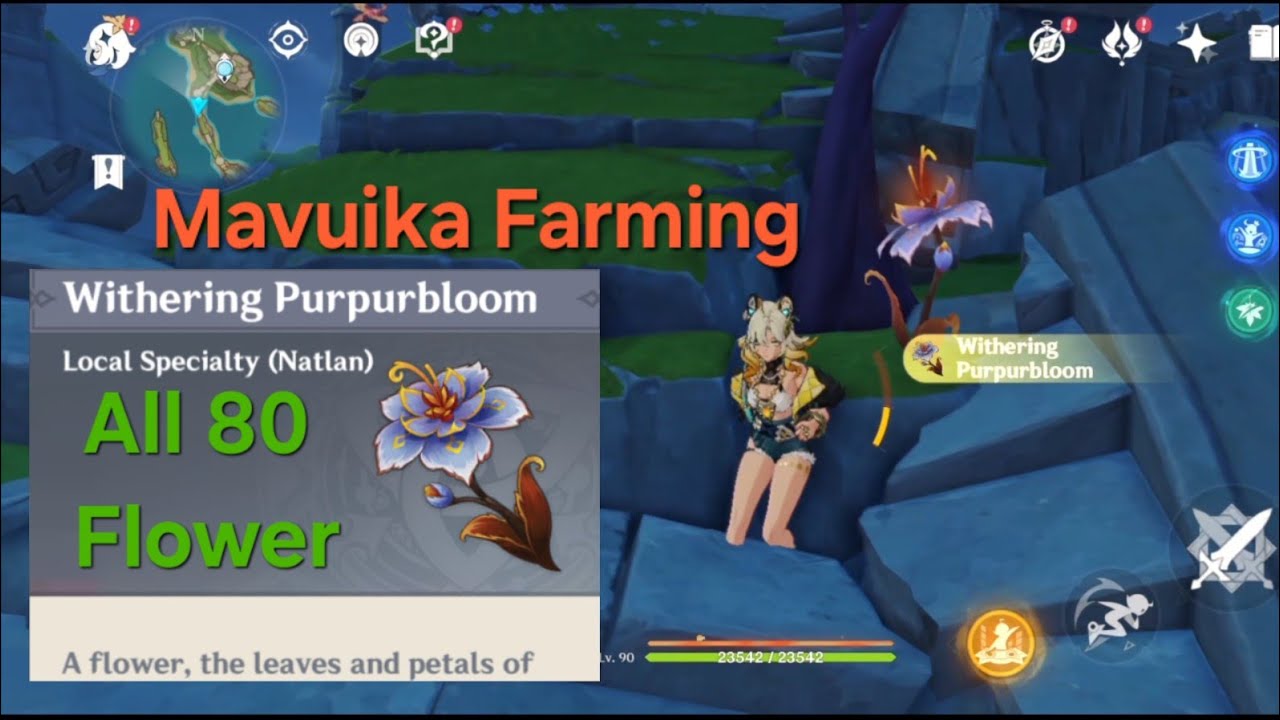 All 80 Withering Purpurbloom Locations | Mavuika PreFarming Ascension ...