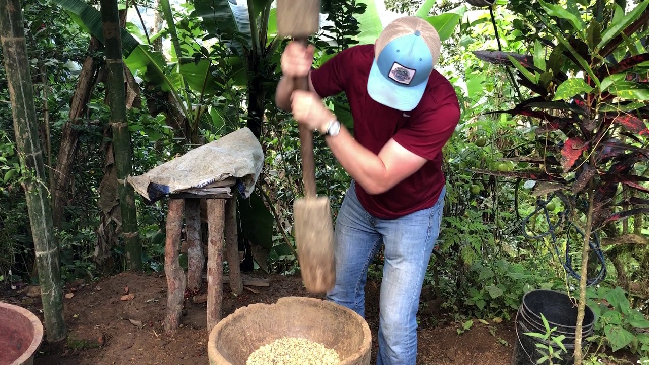 DIY Way To Peel Coffee Beans - YouTube