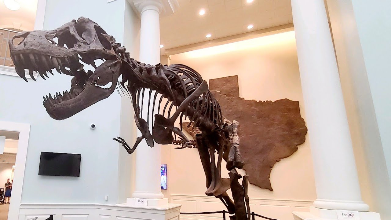 Mayborn Museum Complex - DINOSAURS! - YouTube