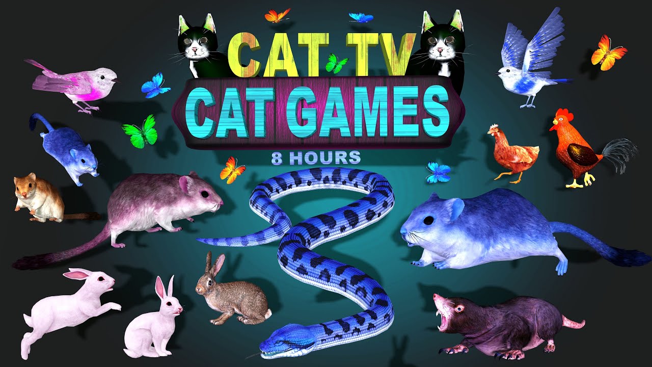 CAT GAMES FOR CATS | ULTIMATE ENTERTAINMENT MOUSE HIDE SEEK JERRY HOLE ...