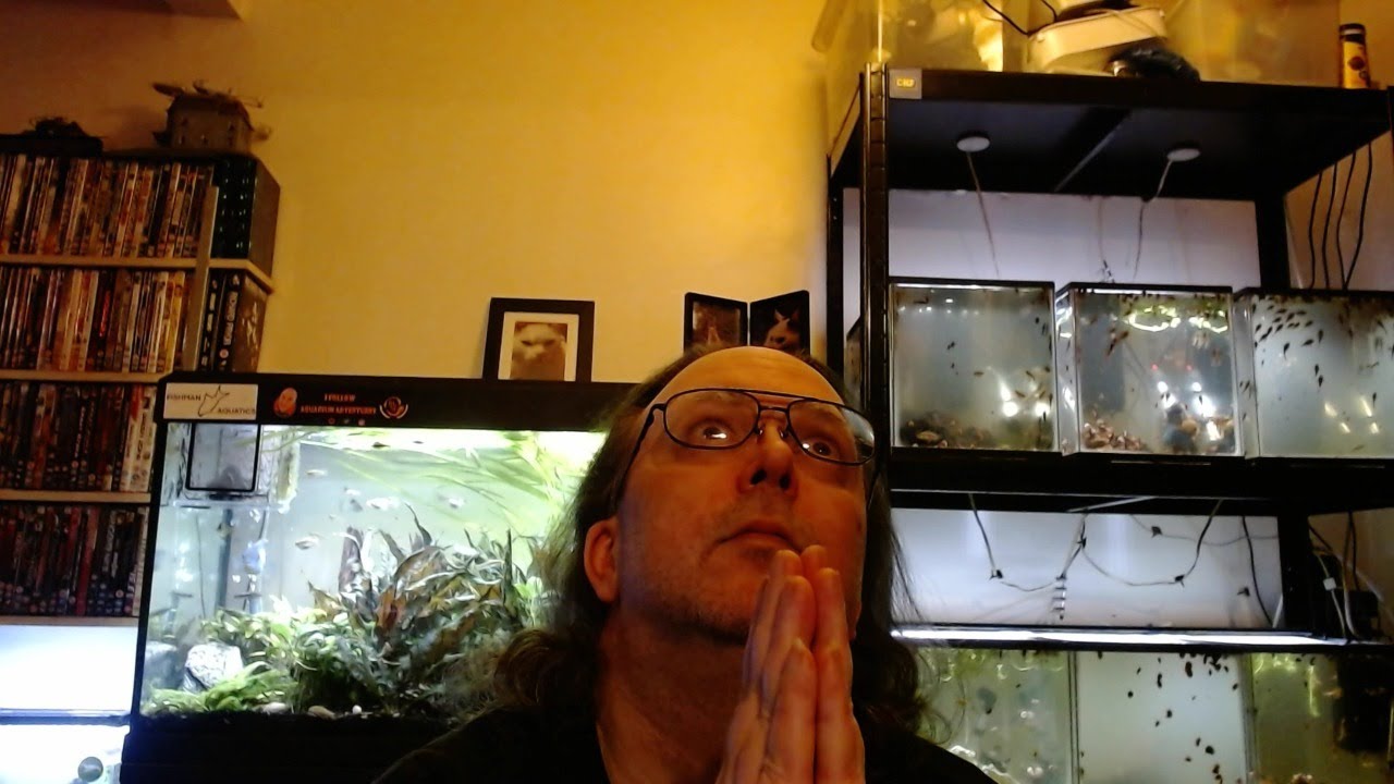 Sunday Sharpe: R.I.P. Big Sam - YouTube