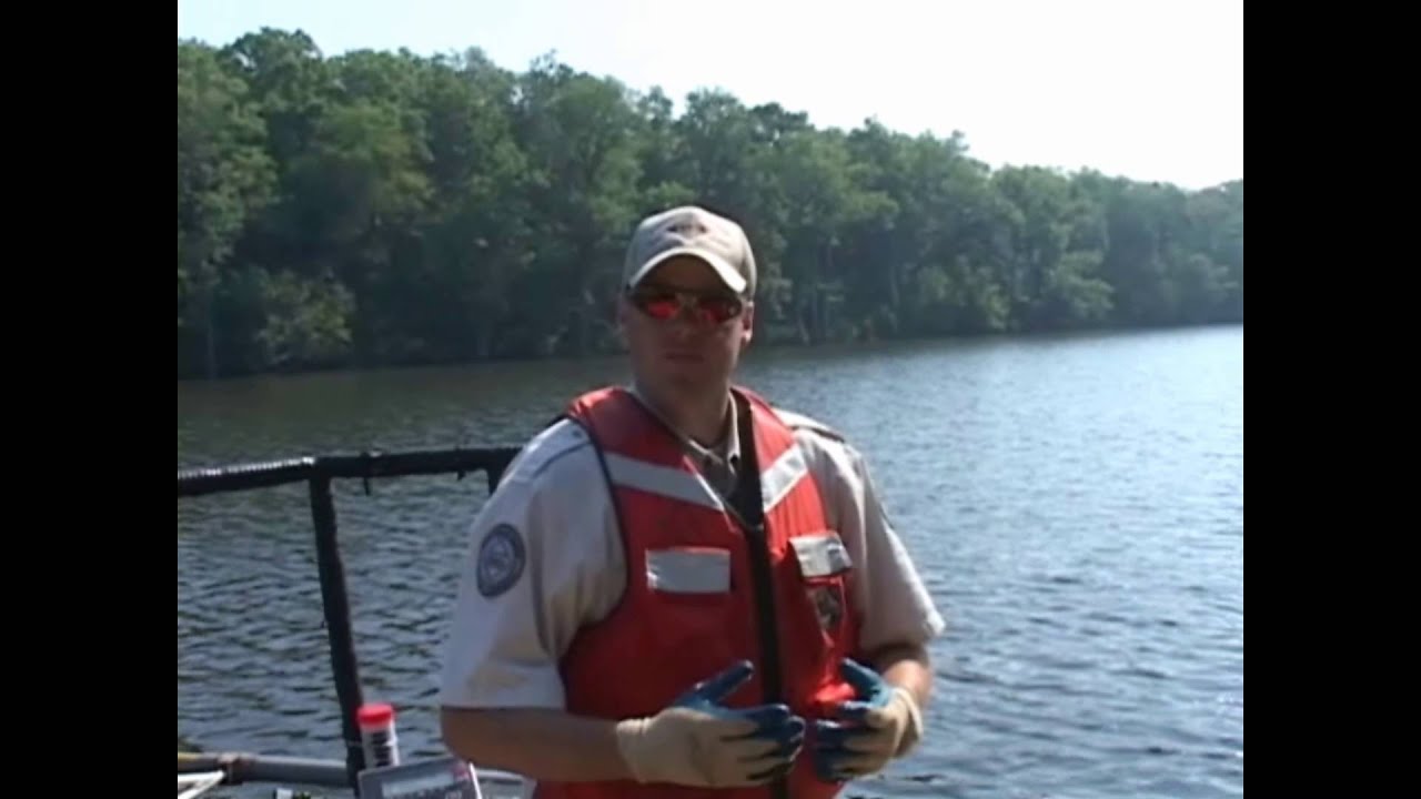 2015 ELECTRO SHOCKING FLAT HEAD CATFISH - YouTube