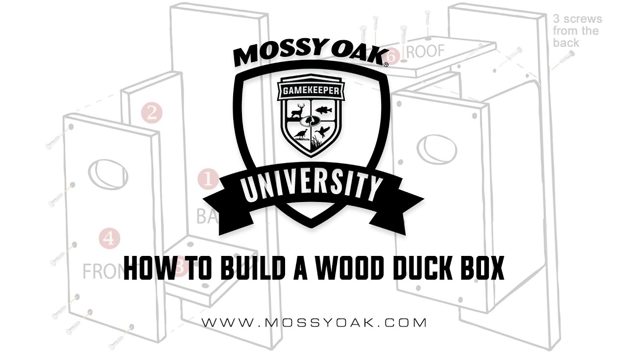 How to build a wood duck box - YouTube