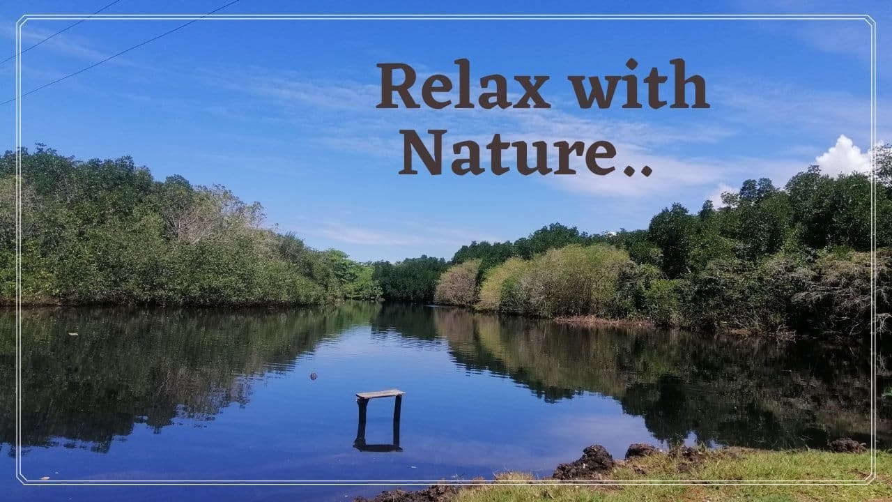 Relaxing Music | Relaxing Nature | Stress Relief | Meditation Music ...