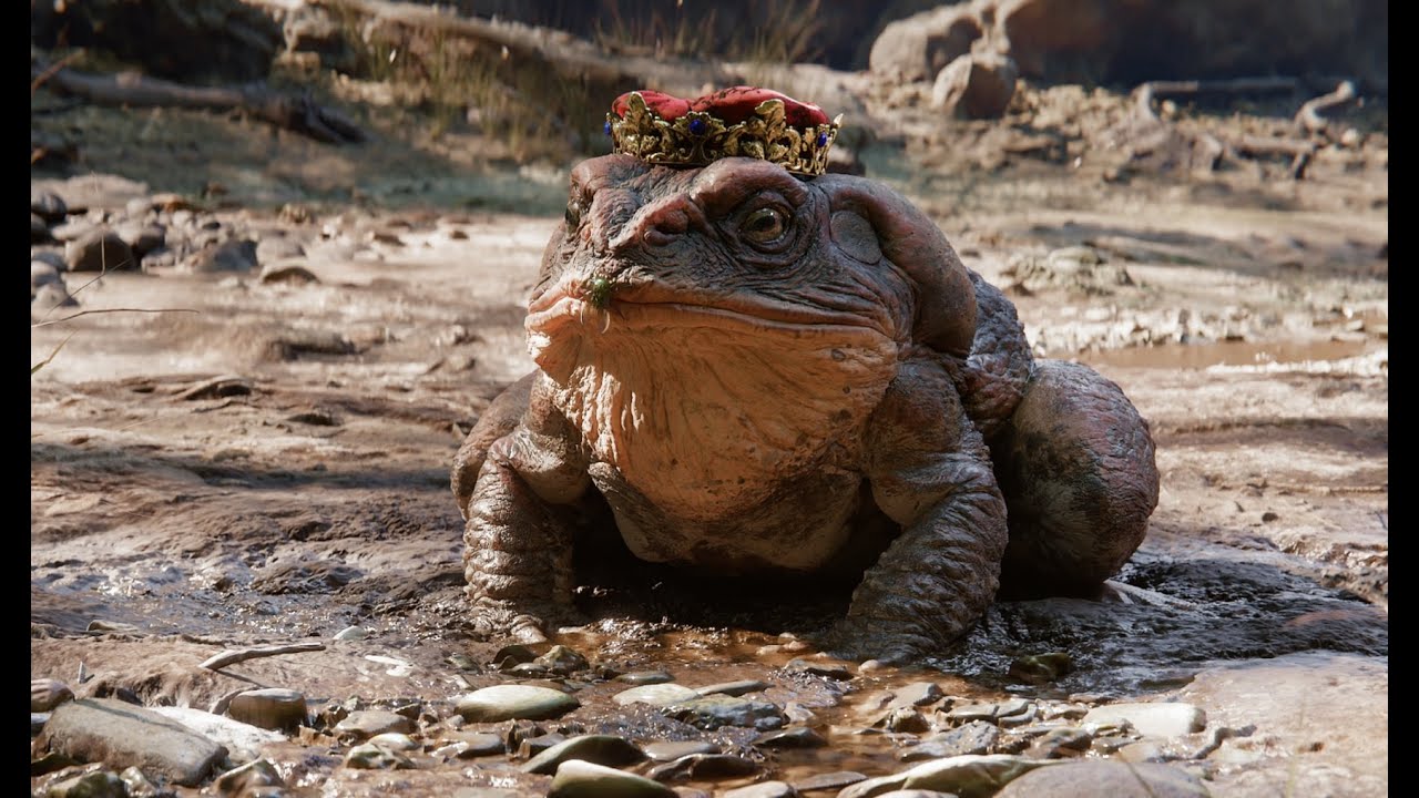 TOAD by Tomasz Zarucki - YouTube