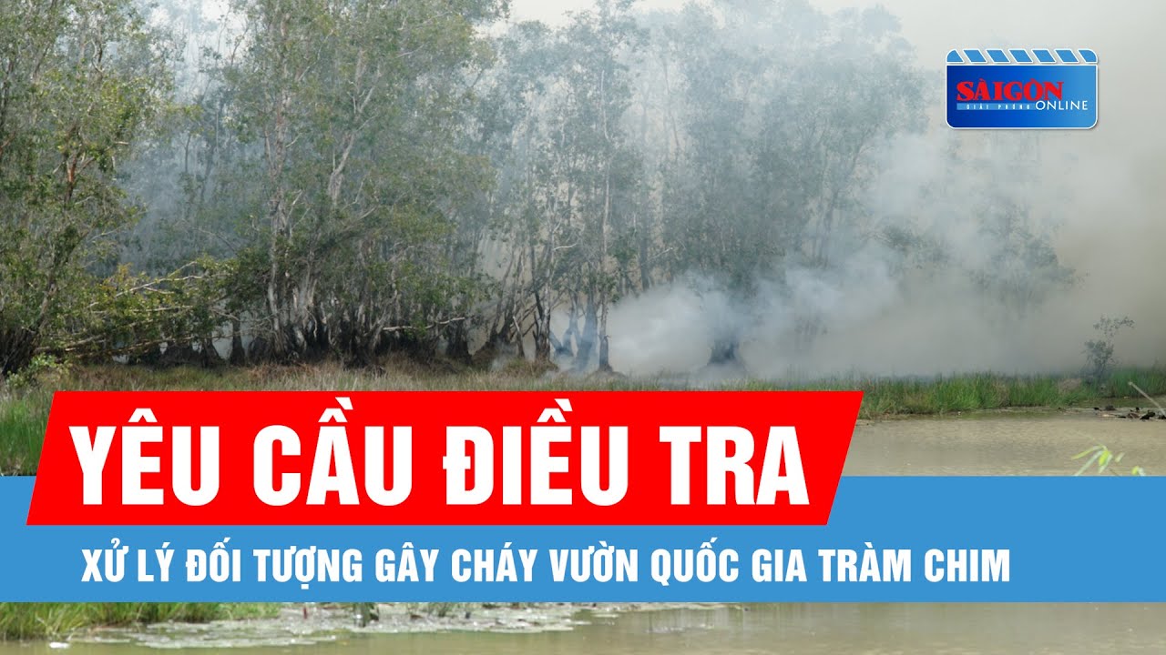 Vụ cháy Vườn Quốc gia Tràm Chim: Yêu cầu công an điều tra, xử lý đối ...