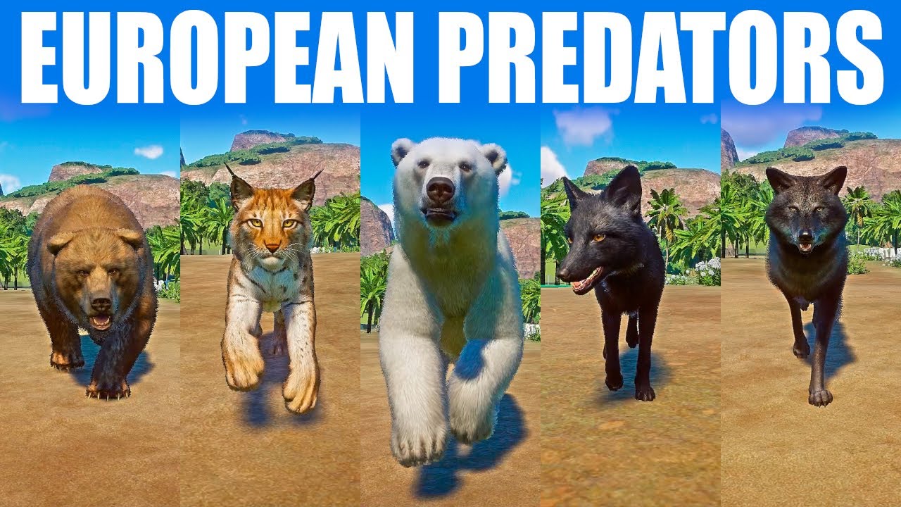 European Predators Speed Race in Planet Zoo included Bear, Wolf, Lynx ...