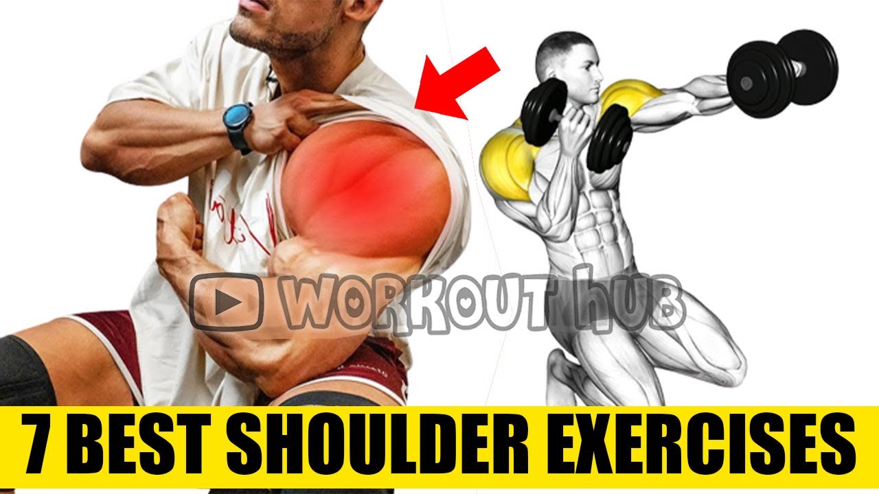 Shoulder Workout - Perfect exercise to quickly build your shoulder With ...