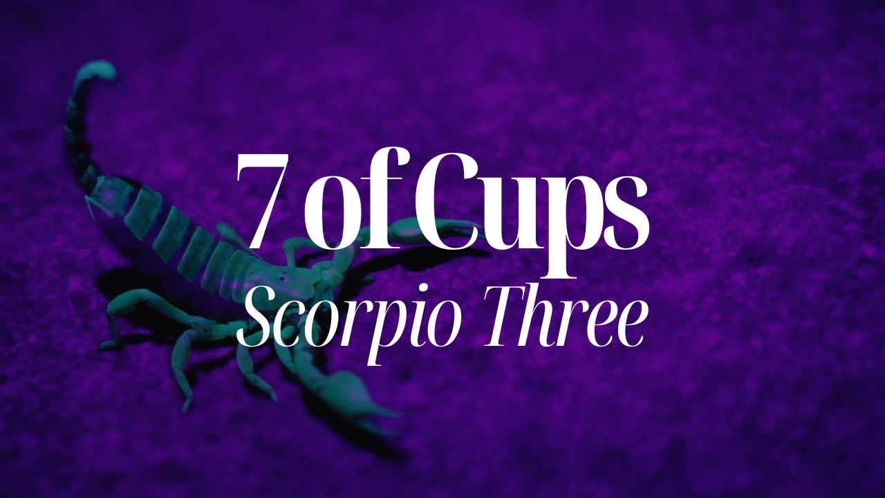 7 of Cups: Scorpio Three ♏️ // Decan Walk 2024 // Lord of Illusionary ...