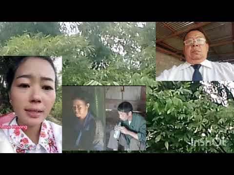 poj niam hmoob mekas zoo li tus nyuj nrhiav rawv cai nrauj lawm xwb yog li cas - YouTube