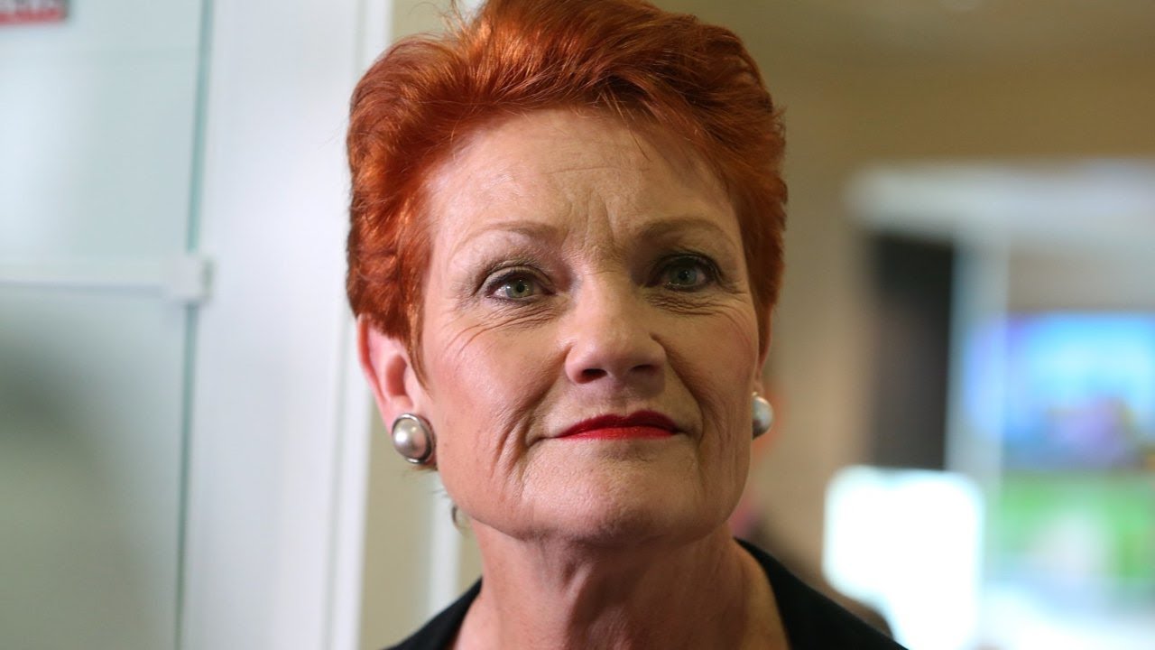 Pauline Hanson's latest cartoon episode pokes fun at political ...