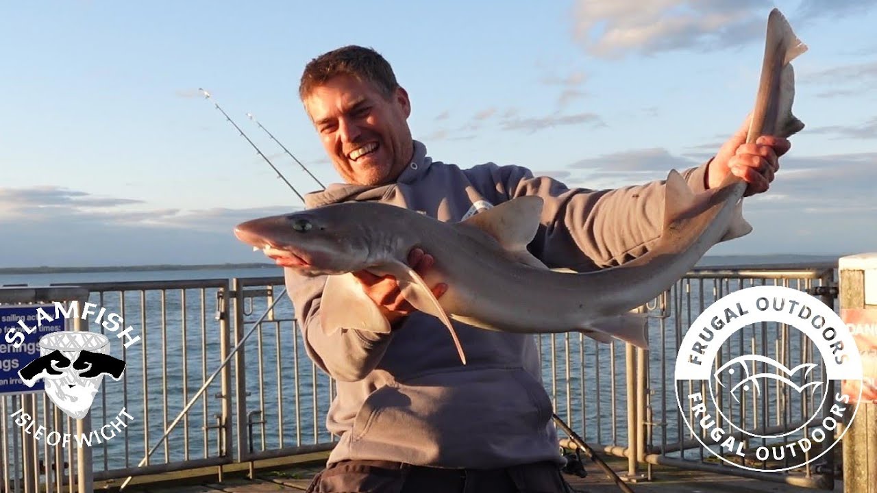 Catching lots of fish Bream Smooth Hounds Yarmouth Pier Sea Shore ...