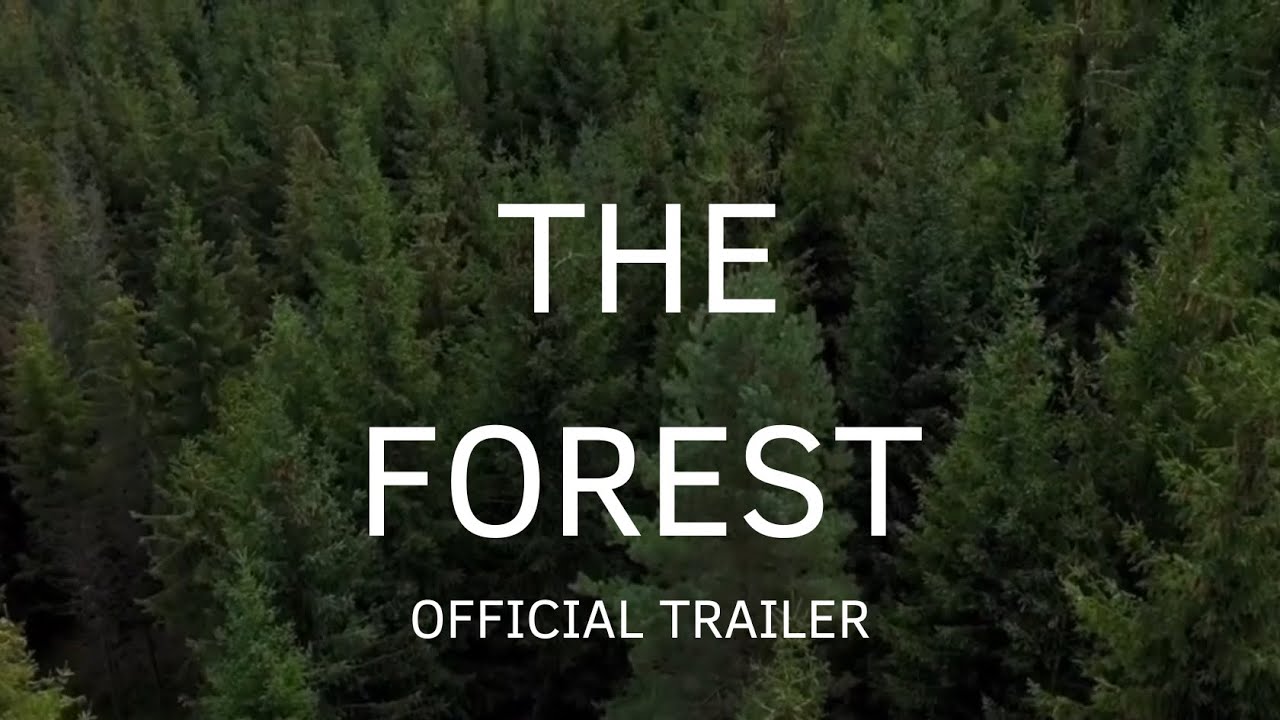 The Forest - Official Trailer (HD) - YouTube