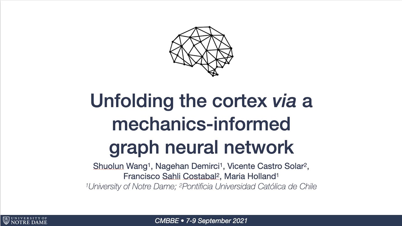 Unfolding the cortex via a mechanics-informed graph neural network ...