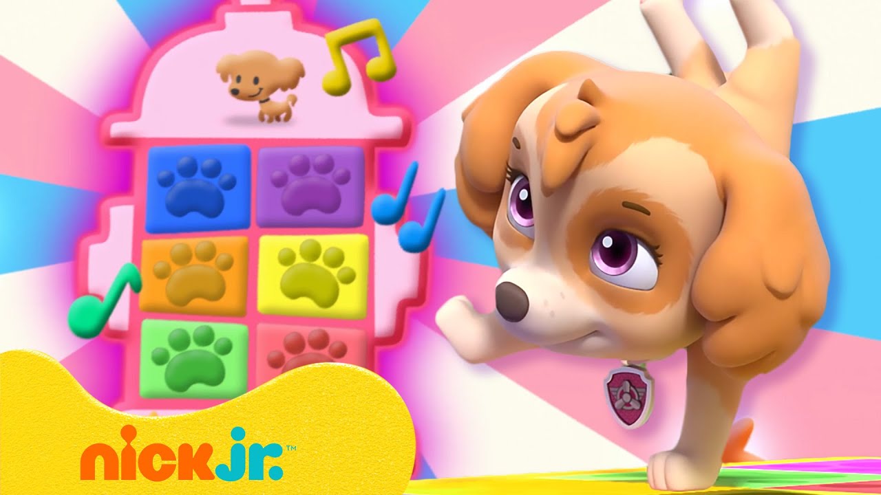Paw Patrol Pup Pup Boogie
