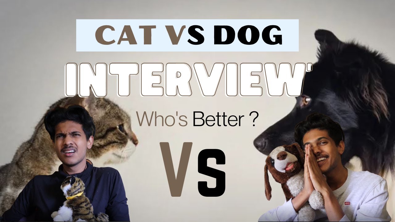 I interviewed a Cat & a Dog - YouTube