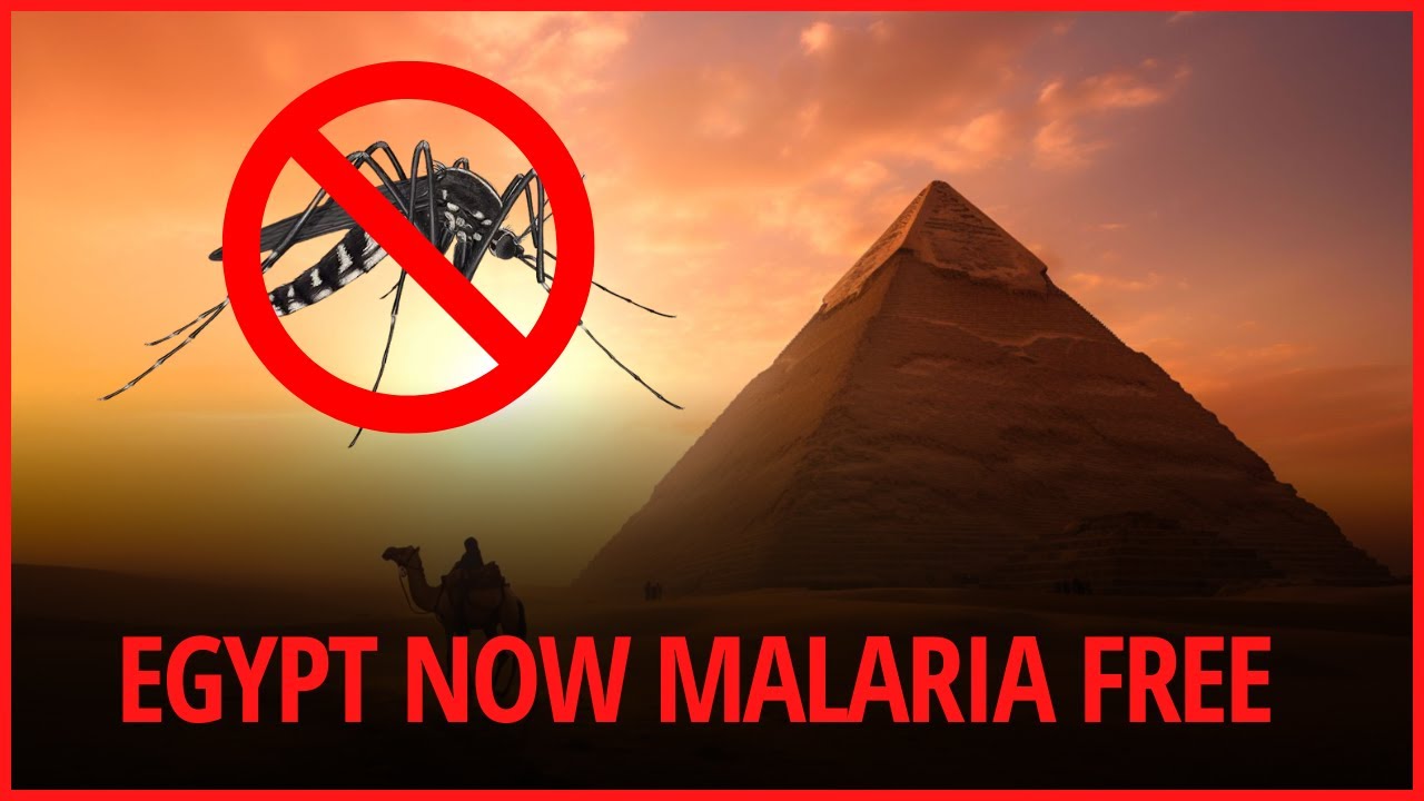 Egypt's MALARIA FREE Status Is Changing Everything! - YouTube
