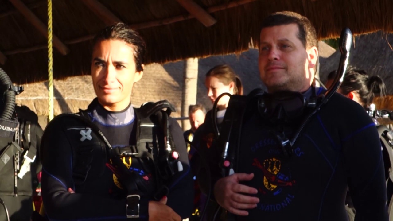 Bull Shark Point (Jardines Deep) & Paamul - Jan.17.2019 - YouTube