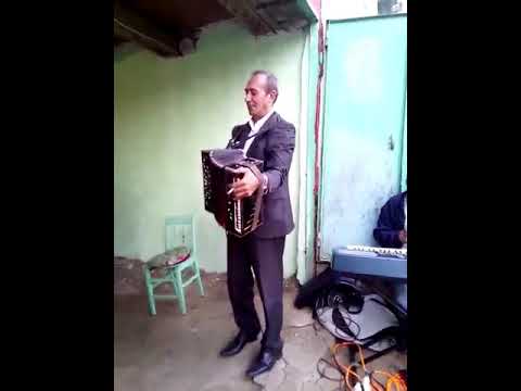 Rafiz Gedebeyli - Qarmonu dile getirir