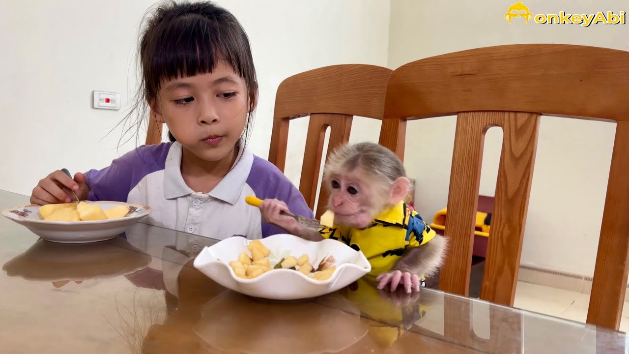 Monkey Abi loves to play with her sister - YouTube