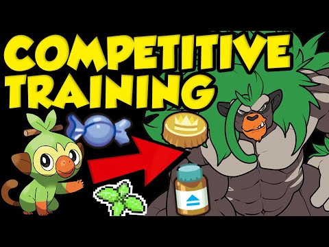 The ULTIMATE Competitive Pokemon Training Guide! How To Get Competitive Pokemon In Sword and Shield!