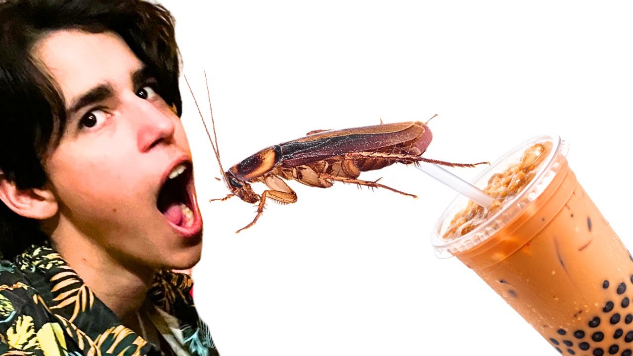 Cockroach In My Boba? - YouTube
