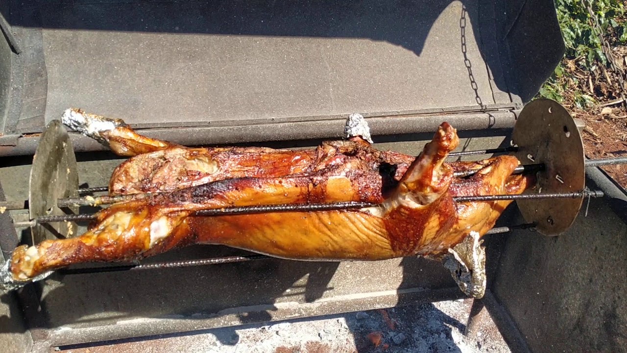 Leitoa assada - YouTube