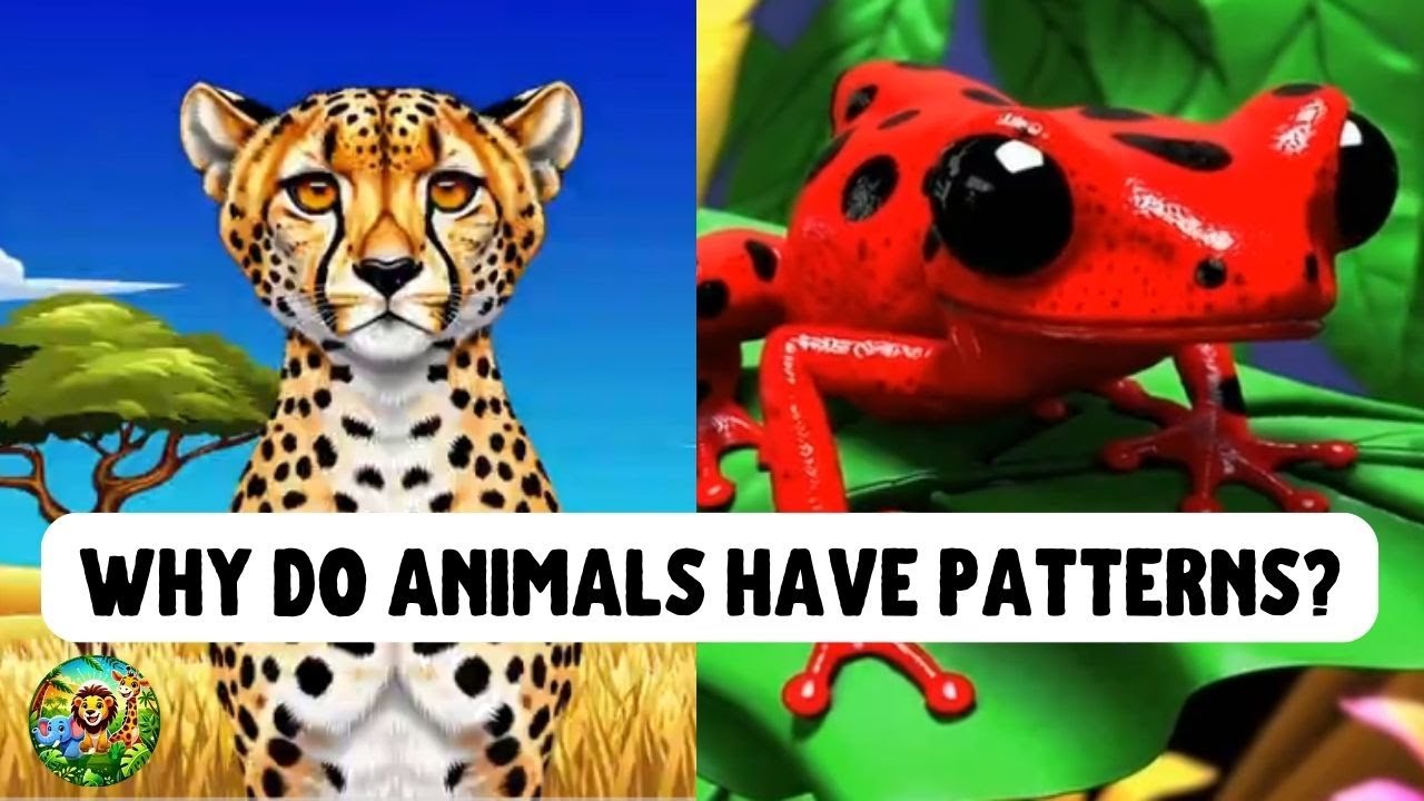WHY DO ANIMALS HAVE SPOTS, STRIPES, OR BRIGHT COLORS? Fun Animal Facts ...