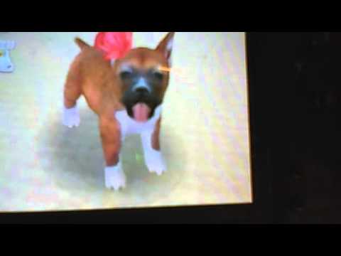 HOW TO MAKE YOUR NINTENDO DOG BREED - YouTube