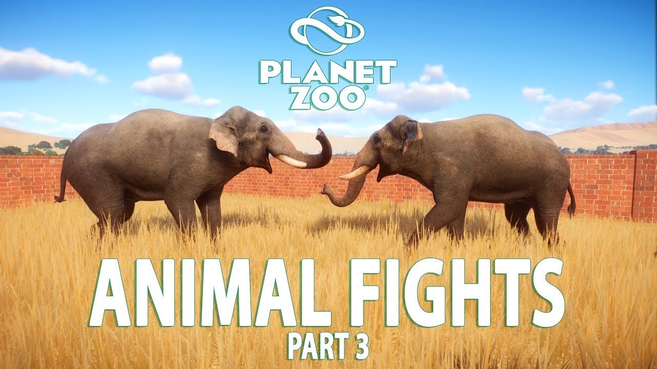 Every Animal Fights in Planet Zoo - PLANET ZOO - Planet Zoo Animal ...