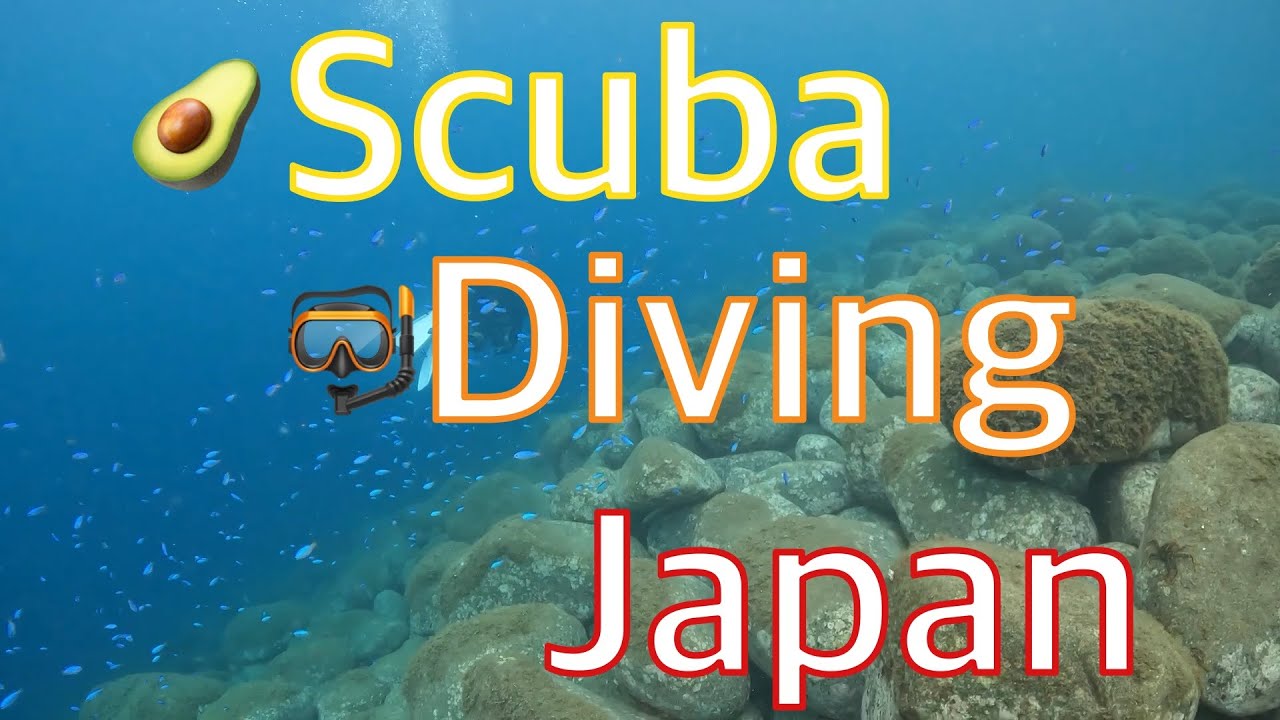🥑Scuba Diving Japan September - YouTube
